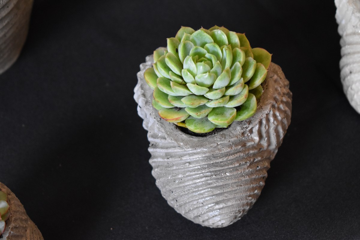 Ripple Series – studio bits2atoms